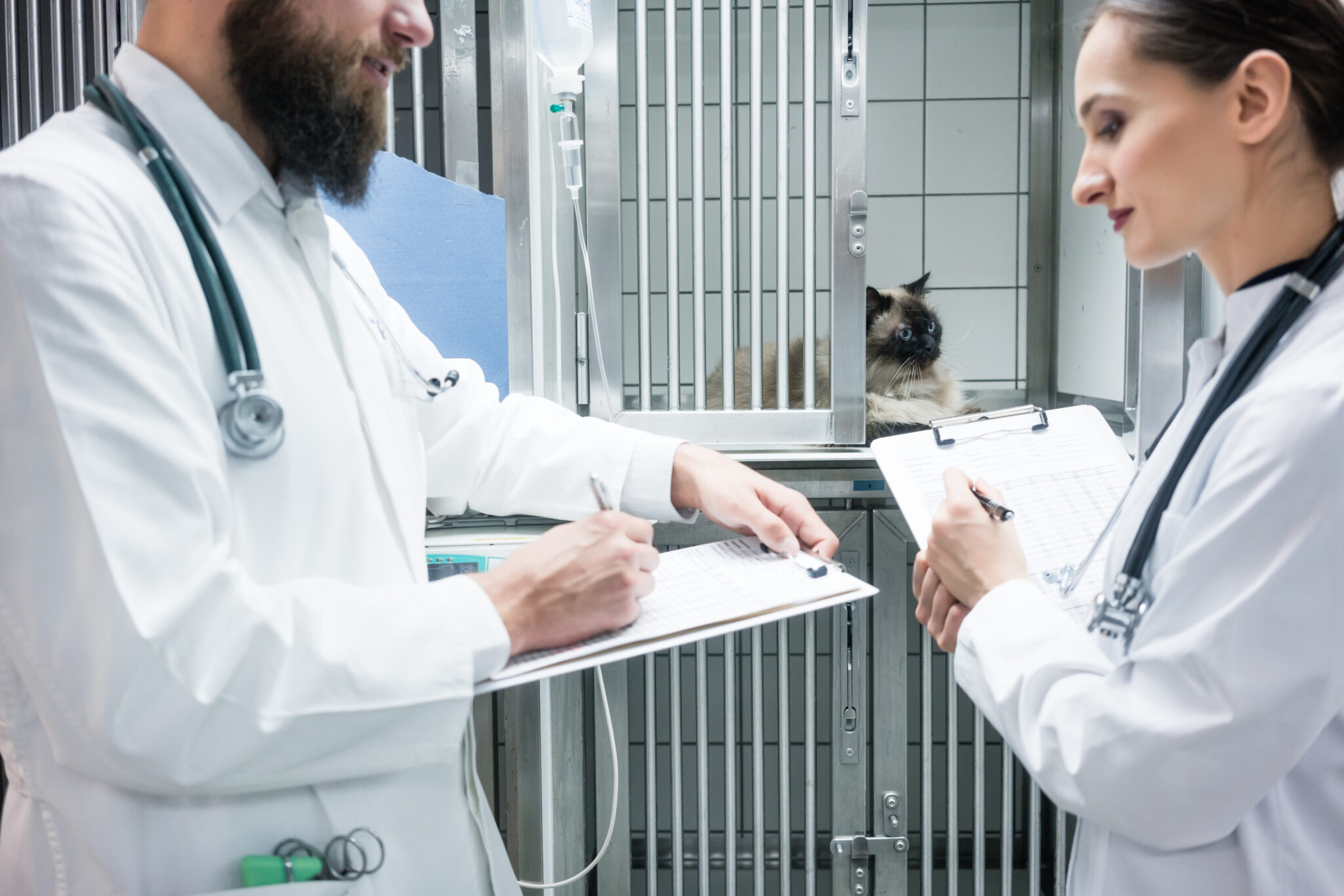 Why Workplace Appreciation Matters and How to Do It Well - Reviving Vet Med