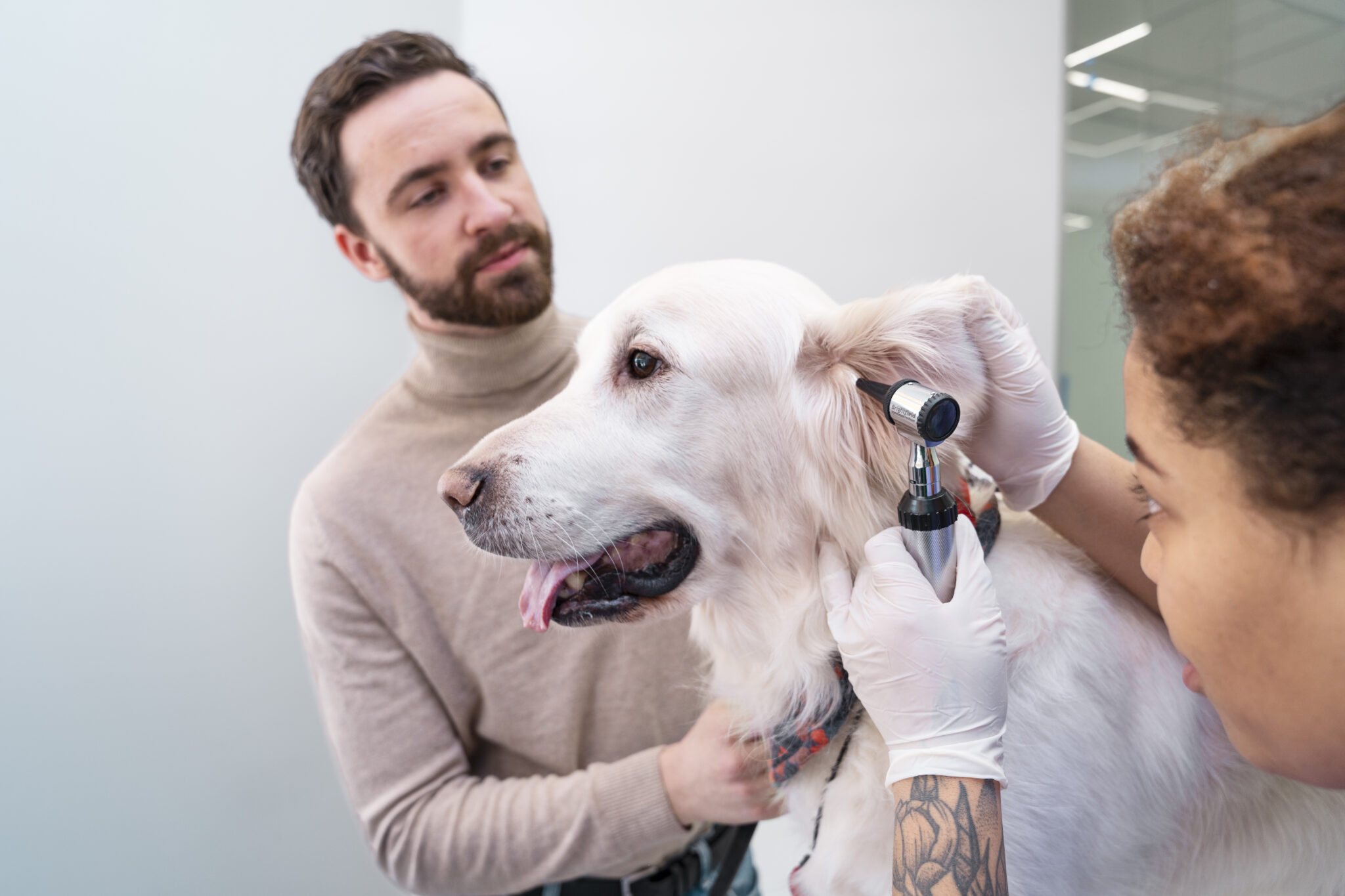 Diffusing Difficult Situations with Veterinary Clients | Reviving Vet Med