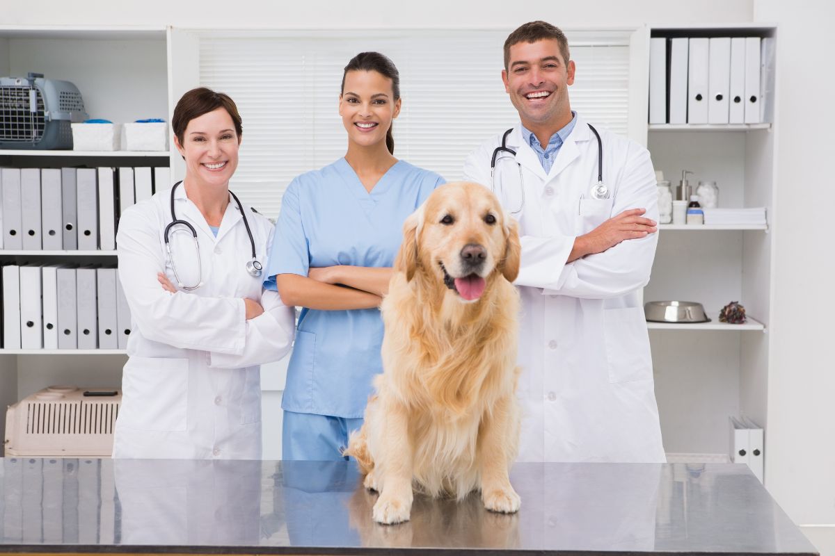 Embracing change management in veterinary medicine: enhancing wellbeing ...